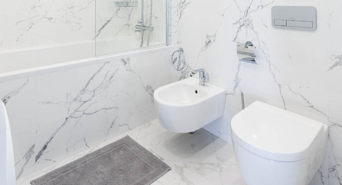 History of Bidet – The Pocket Bidet®